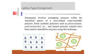 Enzyme Biotechnology-Methods of enzyme immobilization and applications.pptx