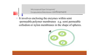 Enzyme Biotechnology-Methods of enzyme immobilization and applications.pptx