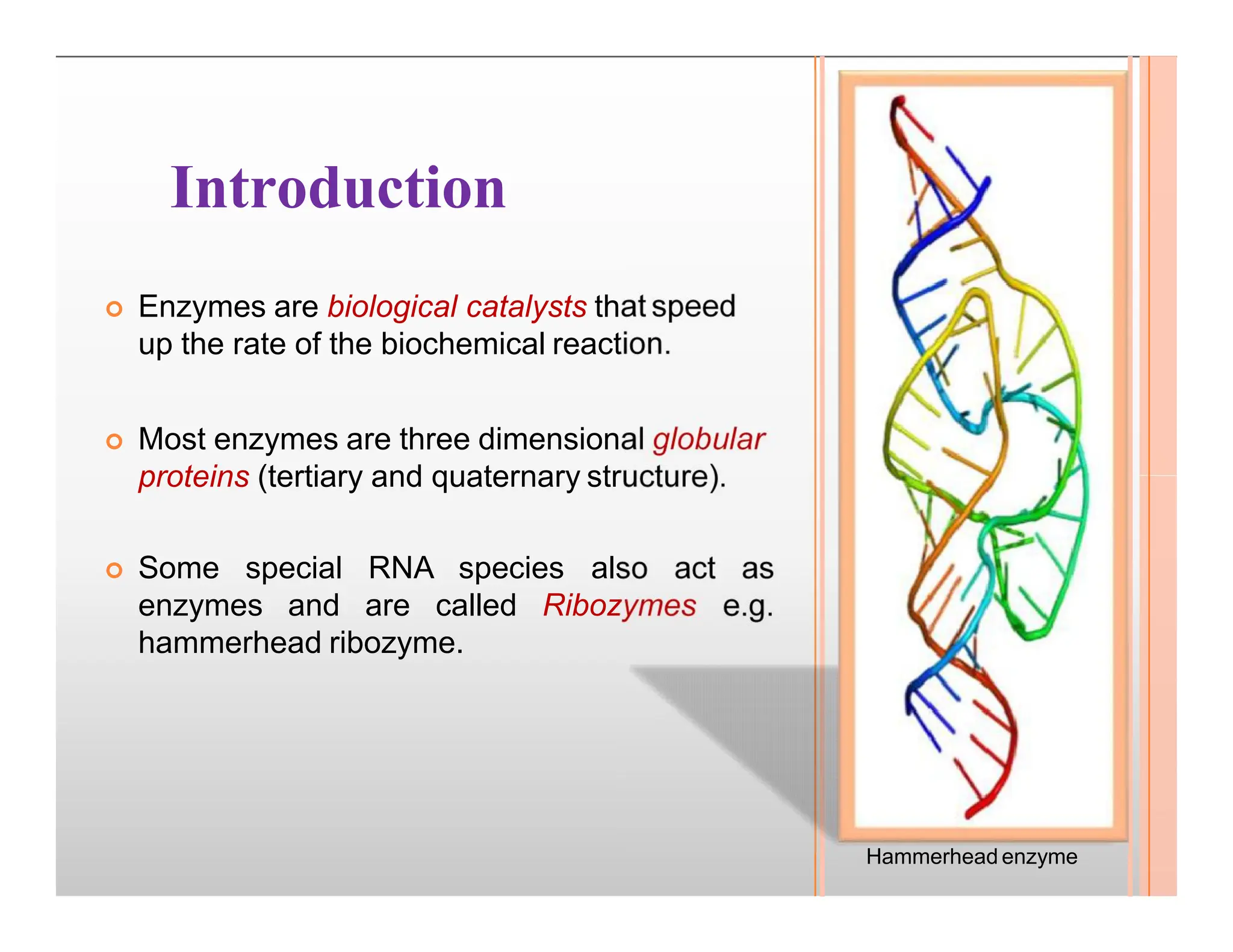 Enzyme Bsc II Sem Zoology. MLK PG C .pdf