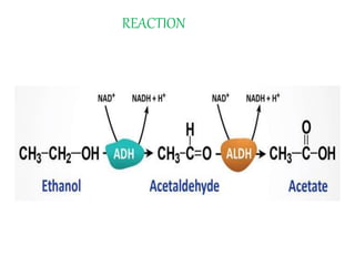 Enzyme catalysed interconversion | PPTX | Chemistry | Science