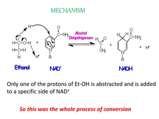 Enzyme catalysed interconversion | PPTX | Chemistry | Science