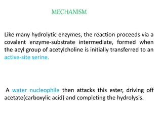 Enzyme catalysed interconversion | PPTX | Chemistry | Science