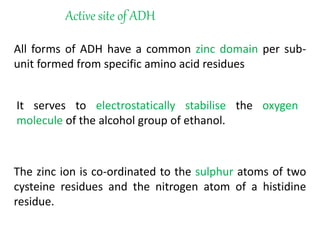 Enzyme catalysed interconversion | PPTX | Chemistry | Science