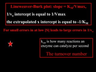 Enzyme Kinetics | PPT
