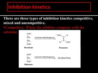 Enzyme Kinetics | PPT