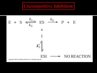Enzyme Kinetics | PPT