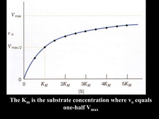 Enzyme Kinetics | PPT