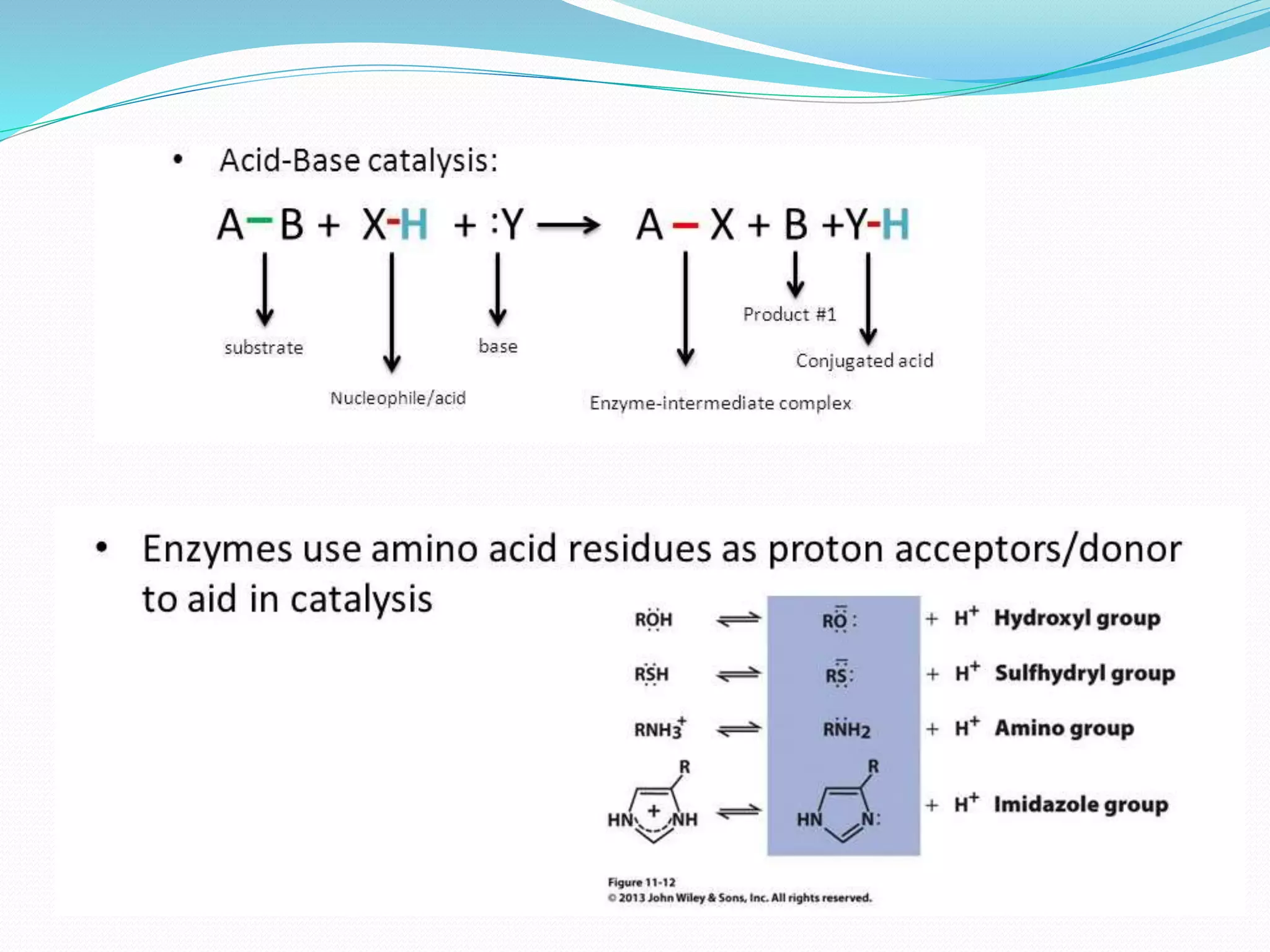 Enzyme catalysis | PPTX
