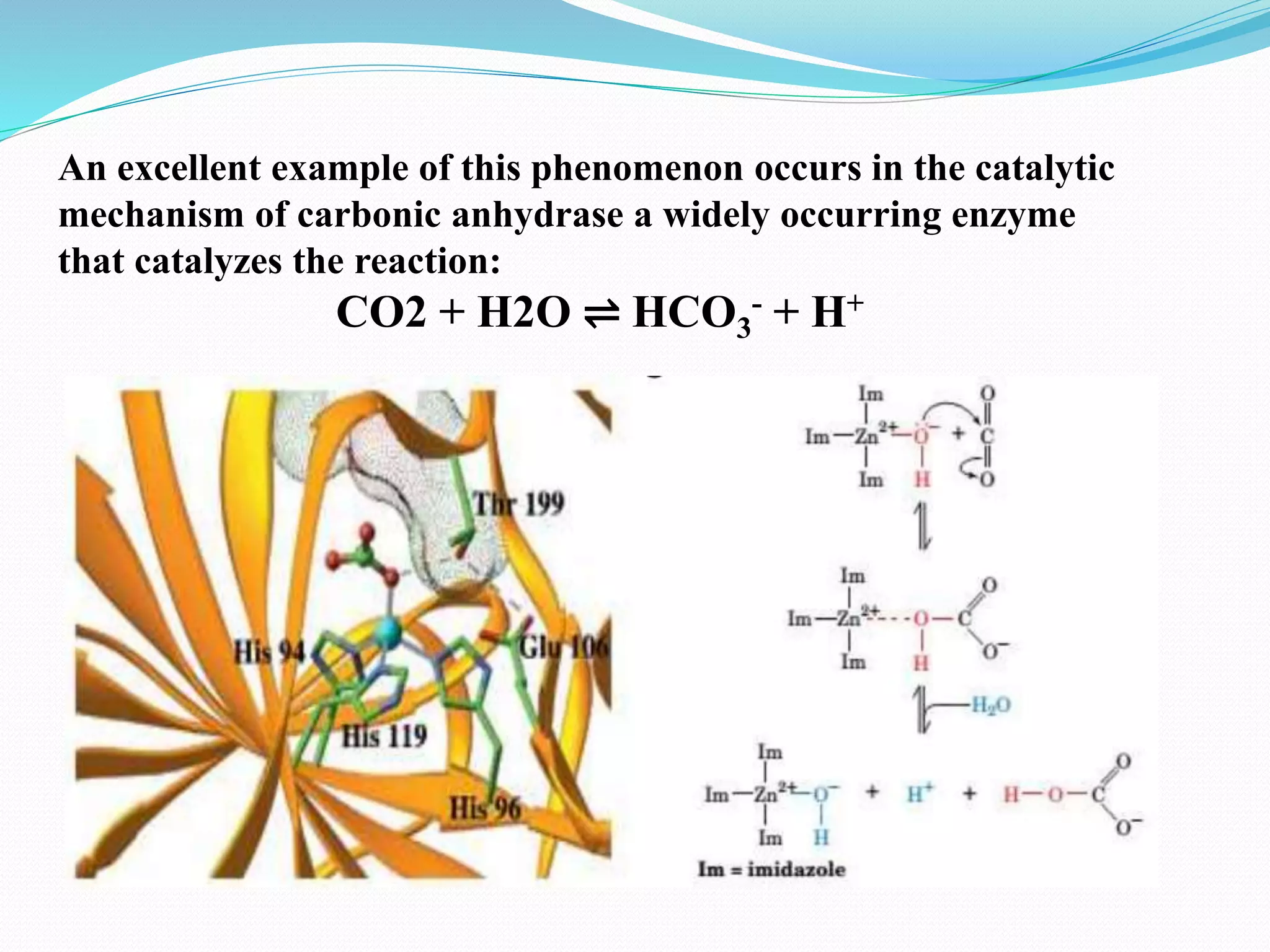 Enzyme catalysis | PPTX