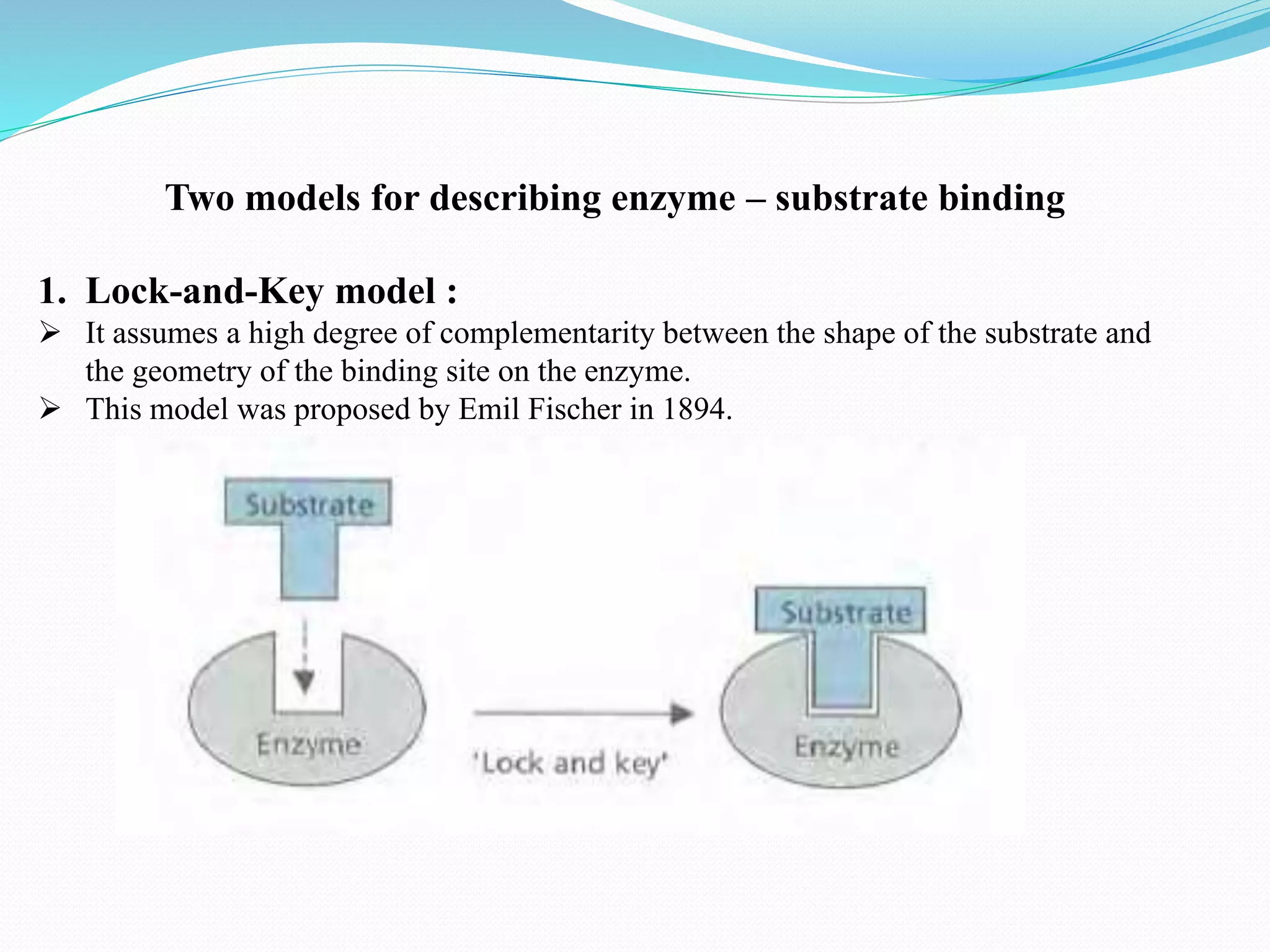 Enzyme catalysis | PPTX