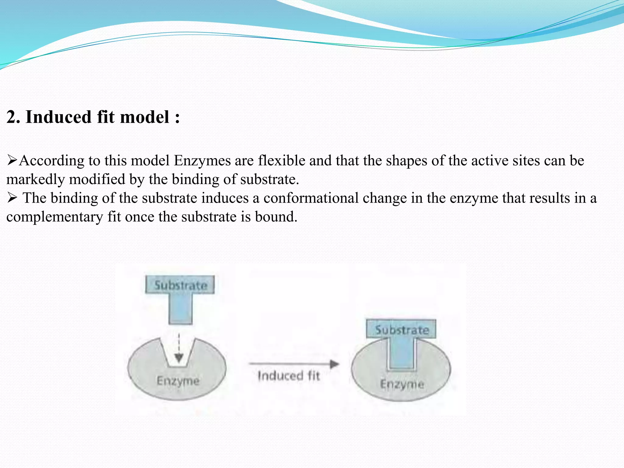 Enzyme catalysis | PPTX