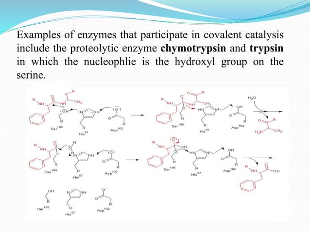 Enzyme catalysis | PPTX