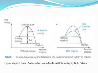 Enzyme catalysis | PPTX