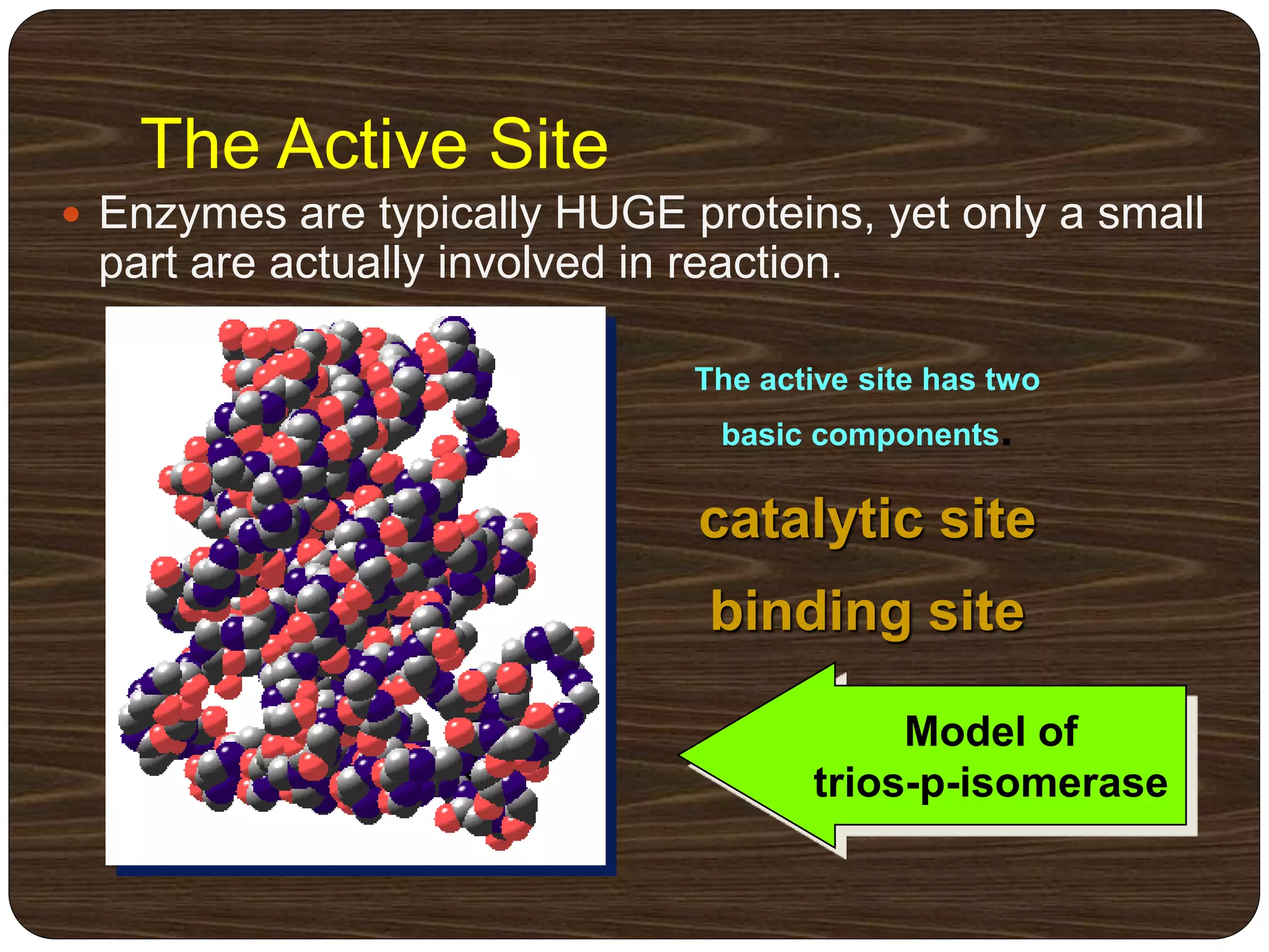 Enzyme catalysis, effect of organic solvent | PPTX