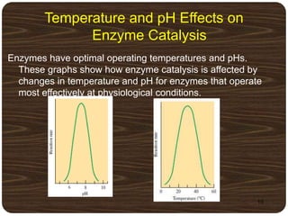 Enzyme catalysis, effect of organic solvent | PPTX