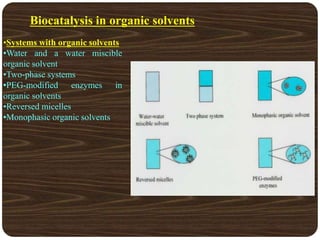 Enzyme catalysis, effect of organic solvent | PPTX