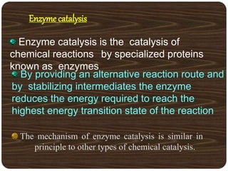 Enzyme catalysis, effect of organic solvent | PPTX