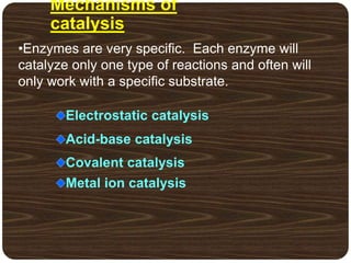 Enzyme catalysis, effect of organic solvent | PPTX