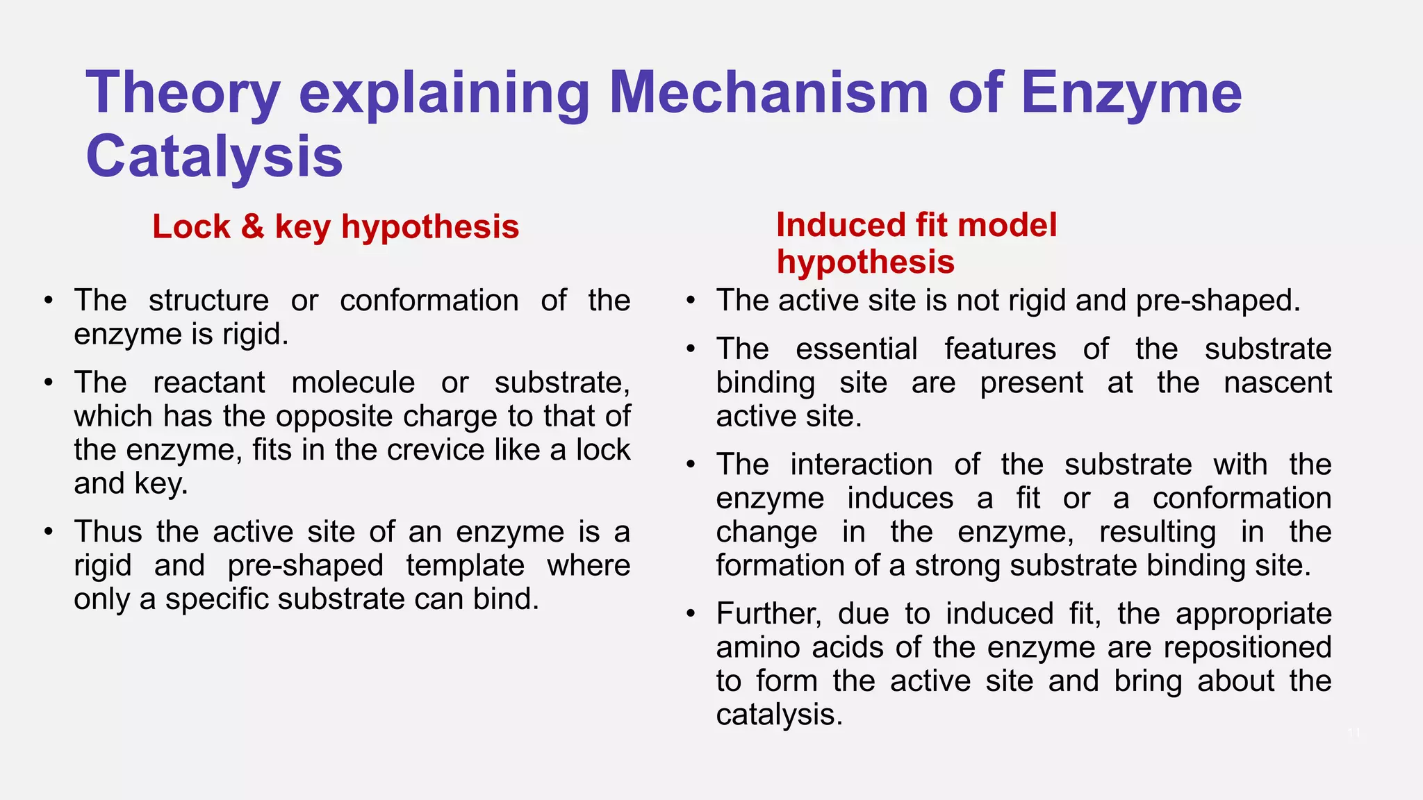 Enzyme Catalysis.pptx