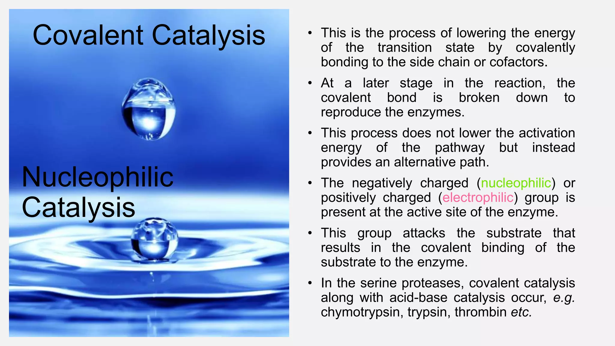 Enzyme Catalysis.pptx