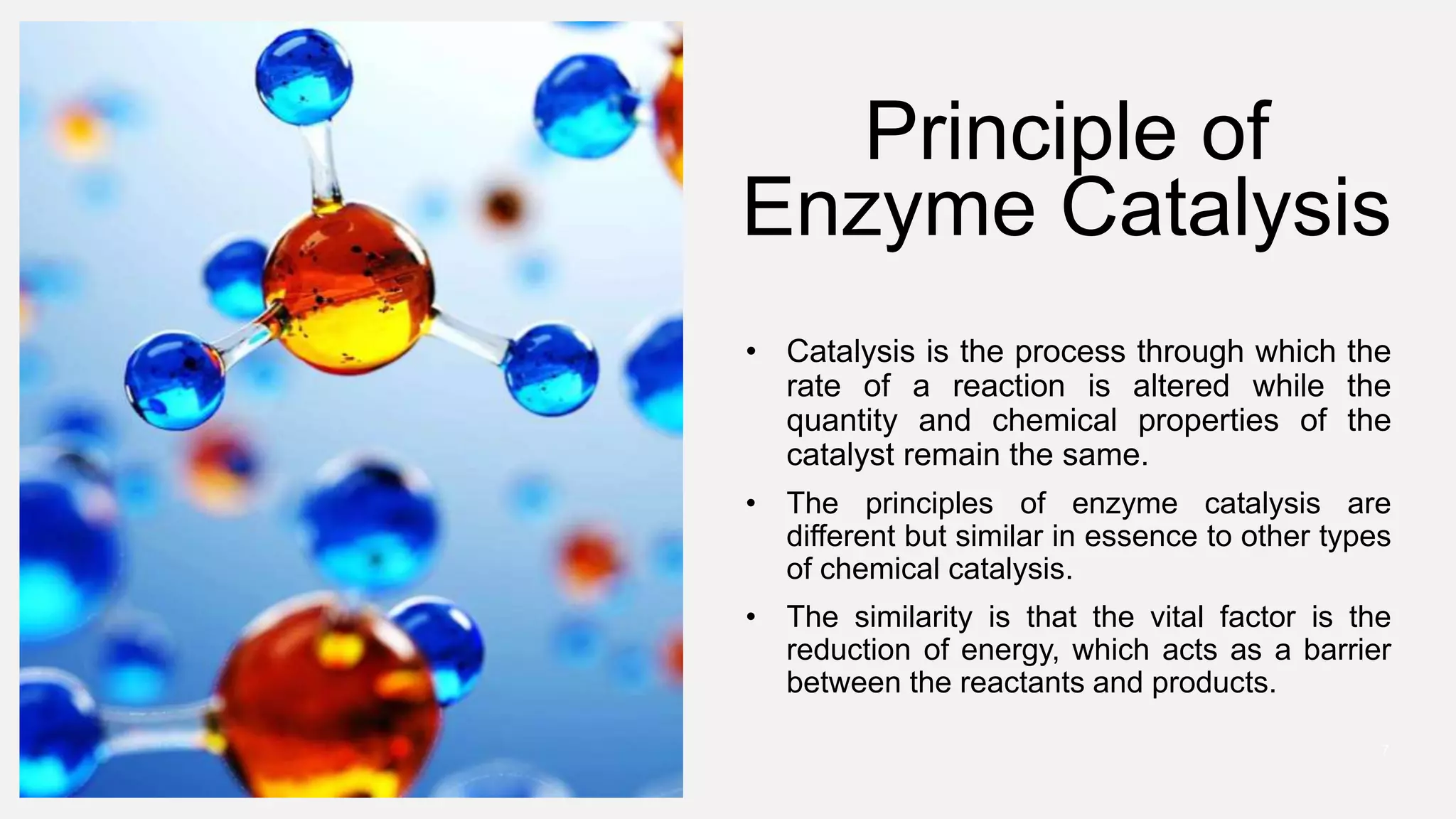 Enzyme Catalysis.pptx