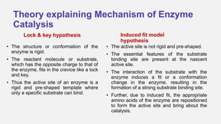 Enzyme Catalysis.pptx