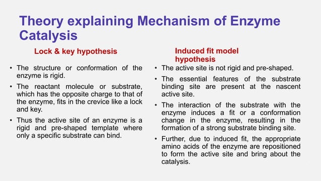Enzyme Catalysis.pptx | Chemistry | Science