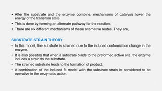 Enzyme Catalysis.pptx