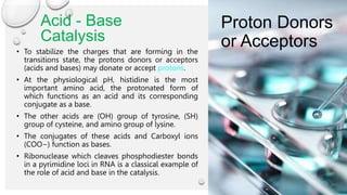 Enzyme Catalysis.pptx