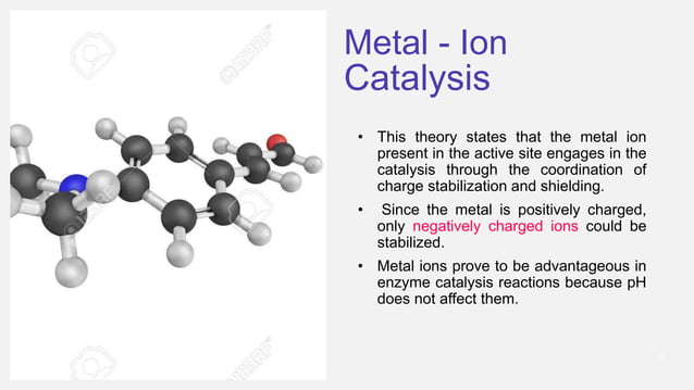 Enzyme Catalysis.pptx | Chemistry | Science