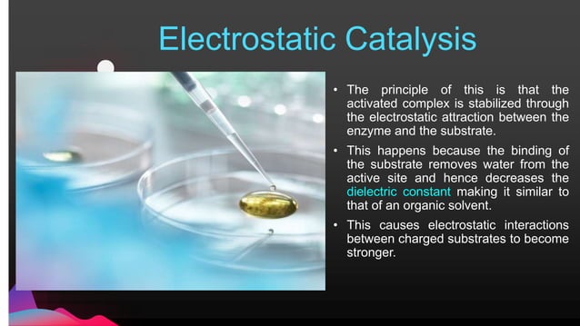 Enzyme Catalysis.pptx | Chemistry | Science