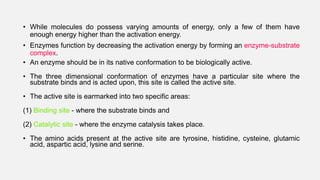 Enzyme Catalysis.pptx
