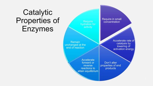 Enzyme Catalysis.pptx | Chemistry | Science