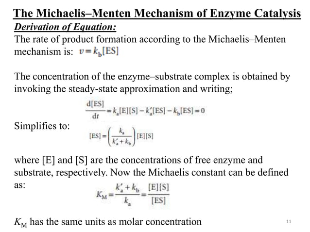 Enzyme Catalysis Heterogeneous and Homogeneous | PPT