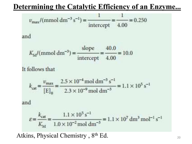 Enzyme Catalysis Heterogeneous and Homogeneous | PPT