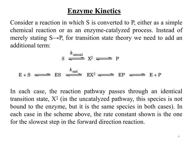 Enzyme Catalysis Heterogeneous and Homogeneous | PPT