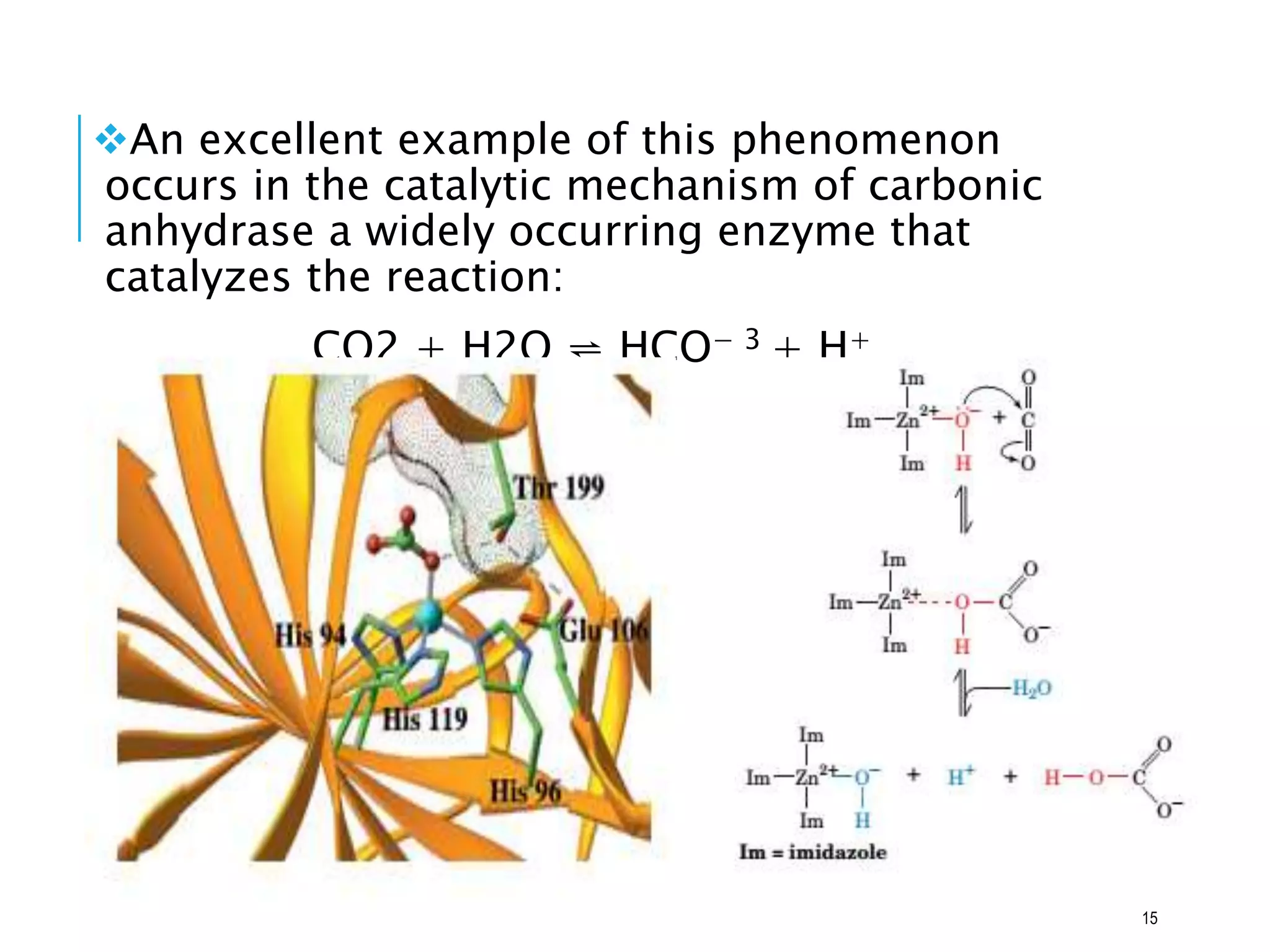 Enzyme catalysis mechanisms involved | PPTX