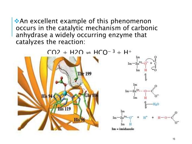 Enzyme catalysis mechanisms involved | PPTX | Chemistry | Science