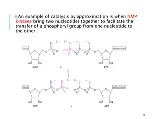 Enzyme catalysis mechanisms involved | PPTX