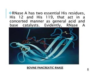 Enzyme catalysis mechanisms involved | PPTX