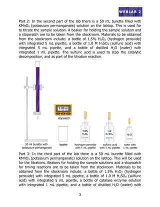 Enzyme catalysis online worksheet | PDF