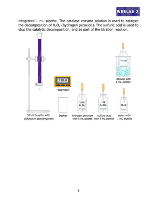 Enzyme catalysis online worksheet | PDF