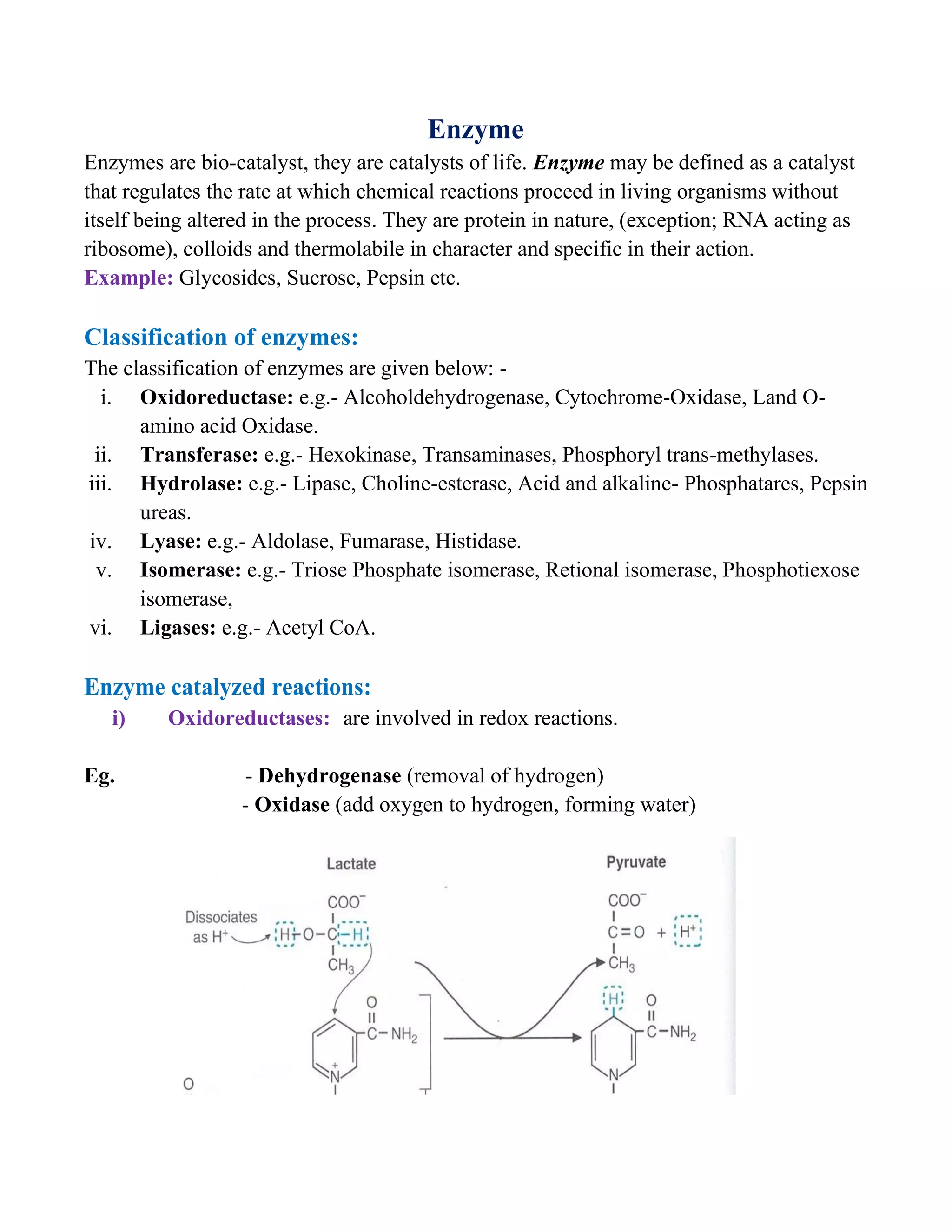 Enzyme catalysed reactions, enzyme kinetics and it’s mechanism of ...