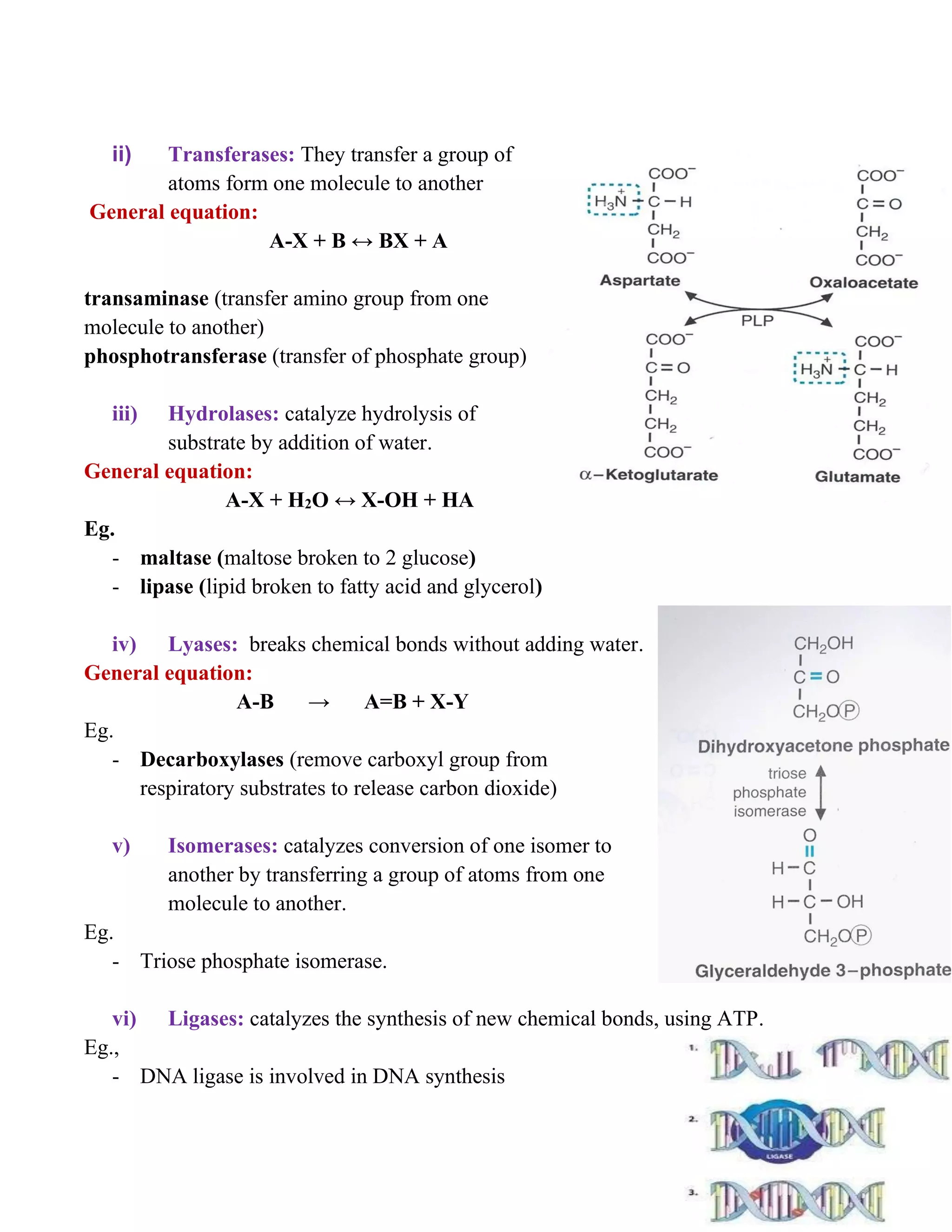 Enzyme catalysed reactions, enzyme kinetics and it’s mechanism of ...