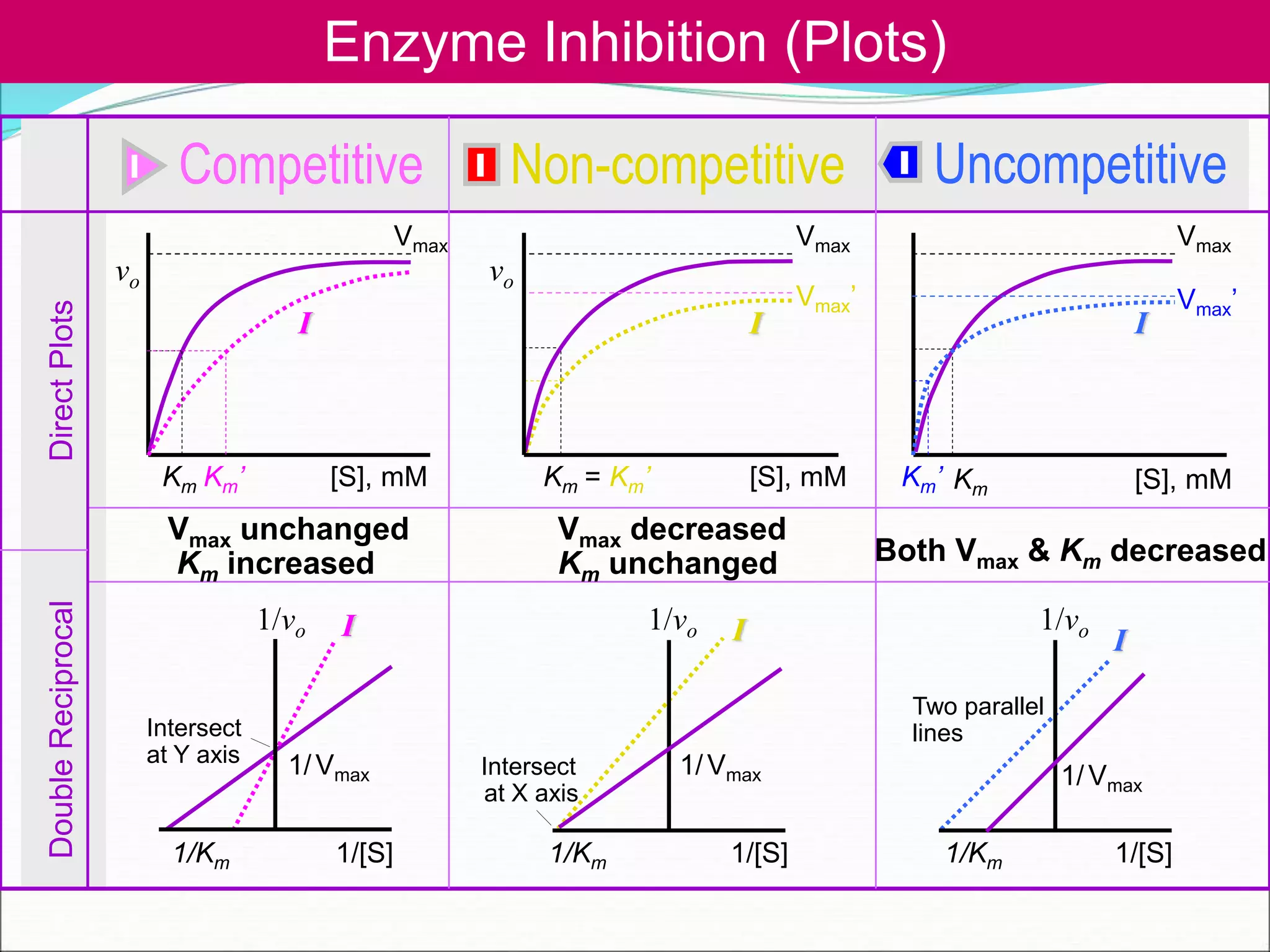 Enzyme 101 | PPT