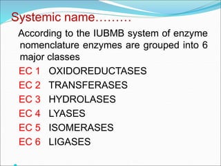 Enzyme 101 | PPT