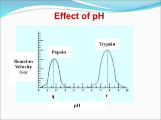Enzyme 101 | PPT