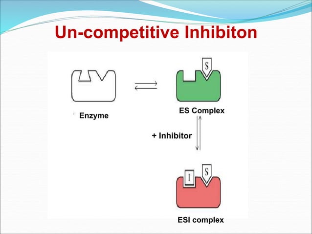 Enzyme 101 | PPT | Chemistry | Science
