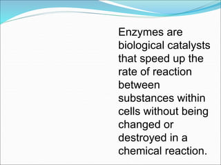 enzyme_class2.ppt