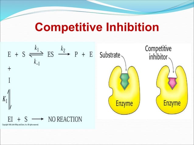enzyme biochemistry classification regulation | PPT